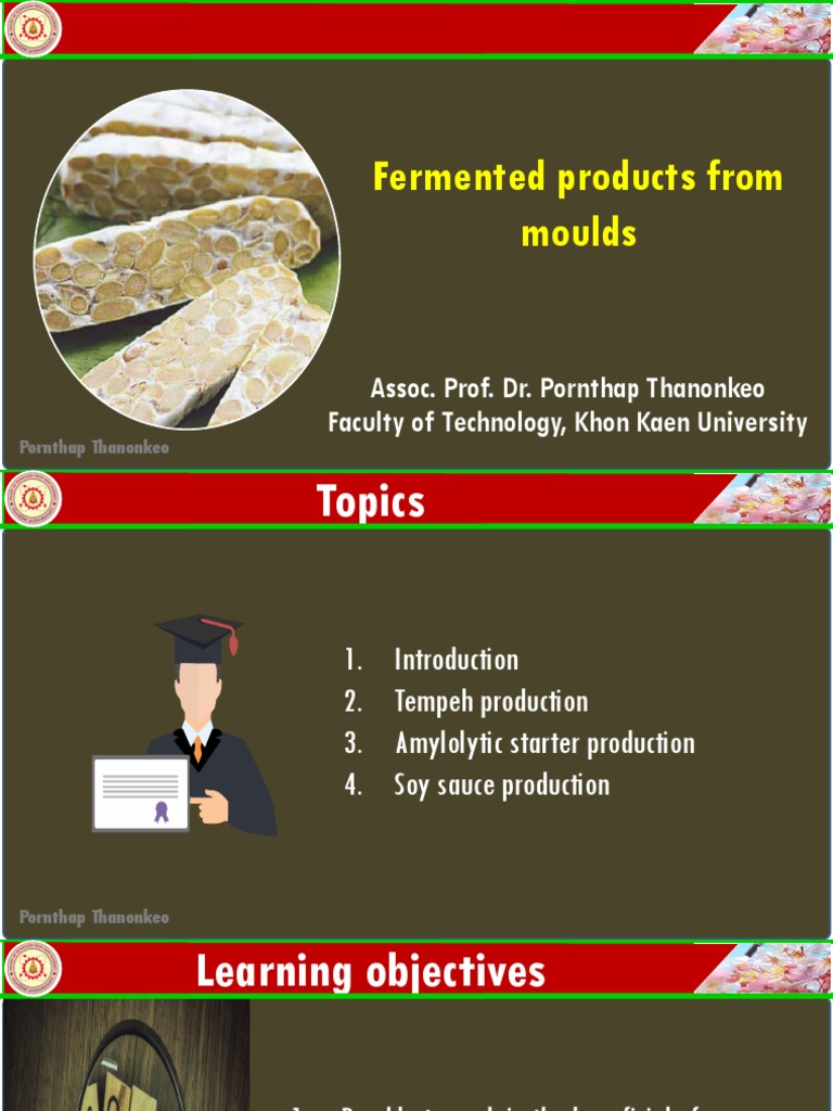 Fermented Mould Foods Guide | PDF | Soy Sauce | Soybean