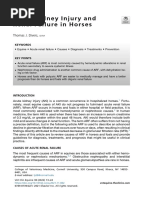 Kitty Magic | PDF | Anesthesia | Surgery