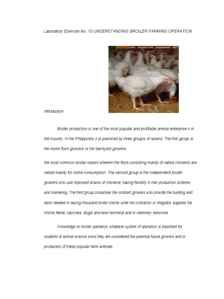 Cabrera, Jo Aliage G. Laboratory Exercise No 10 | PDF | Broiler | Birds