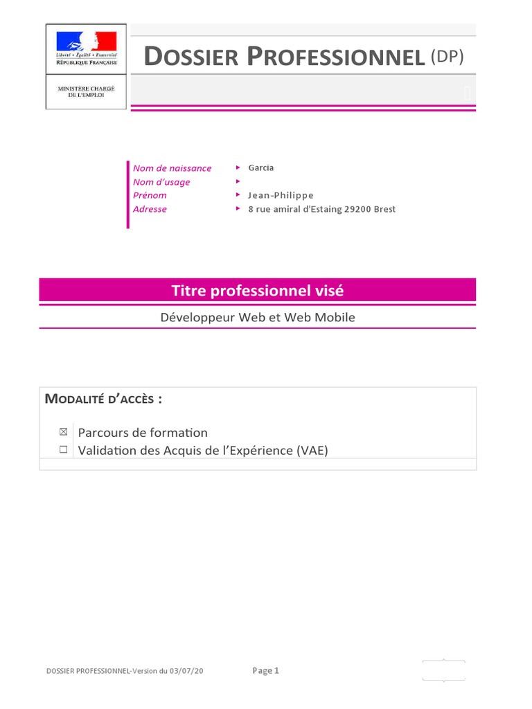Dossier Pro: Développeur Web Mobile | PDF | Internet | Internet et Web