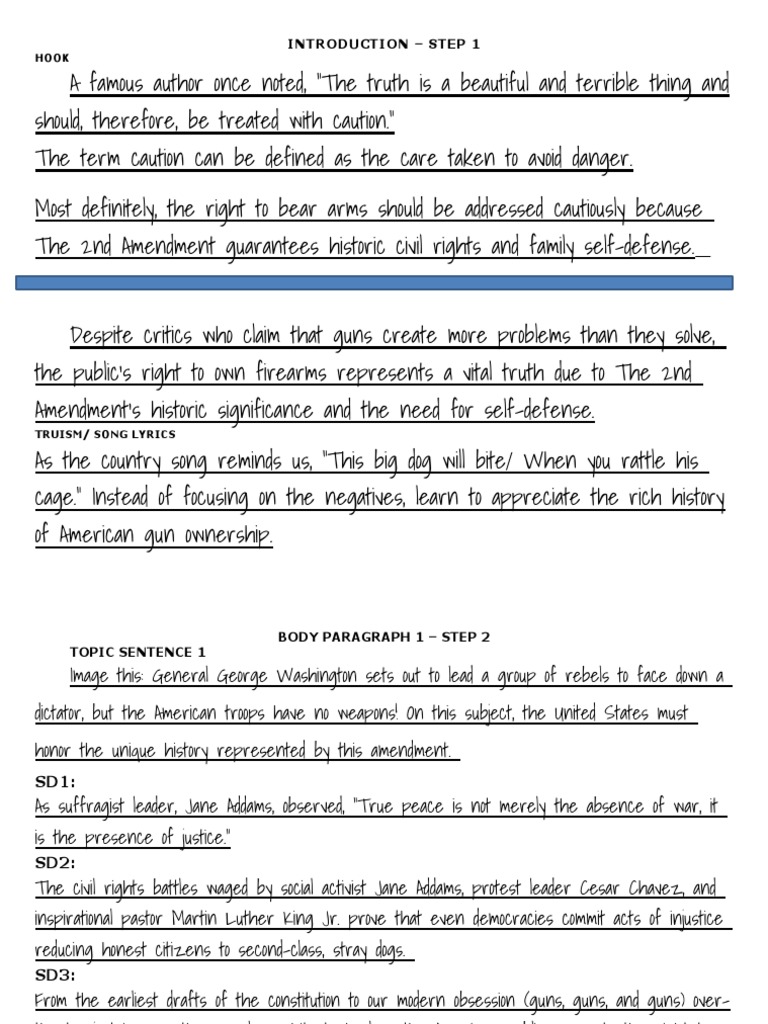 Persuasive Essay Example 2nd Amendment | PDF | Second Amendment To The ...
