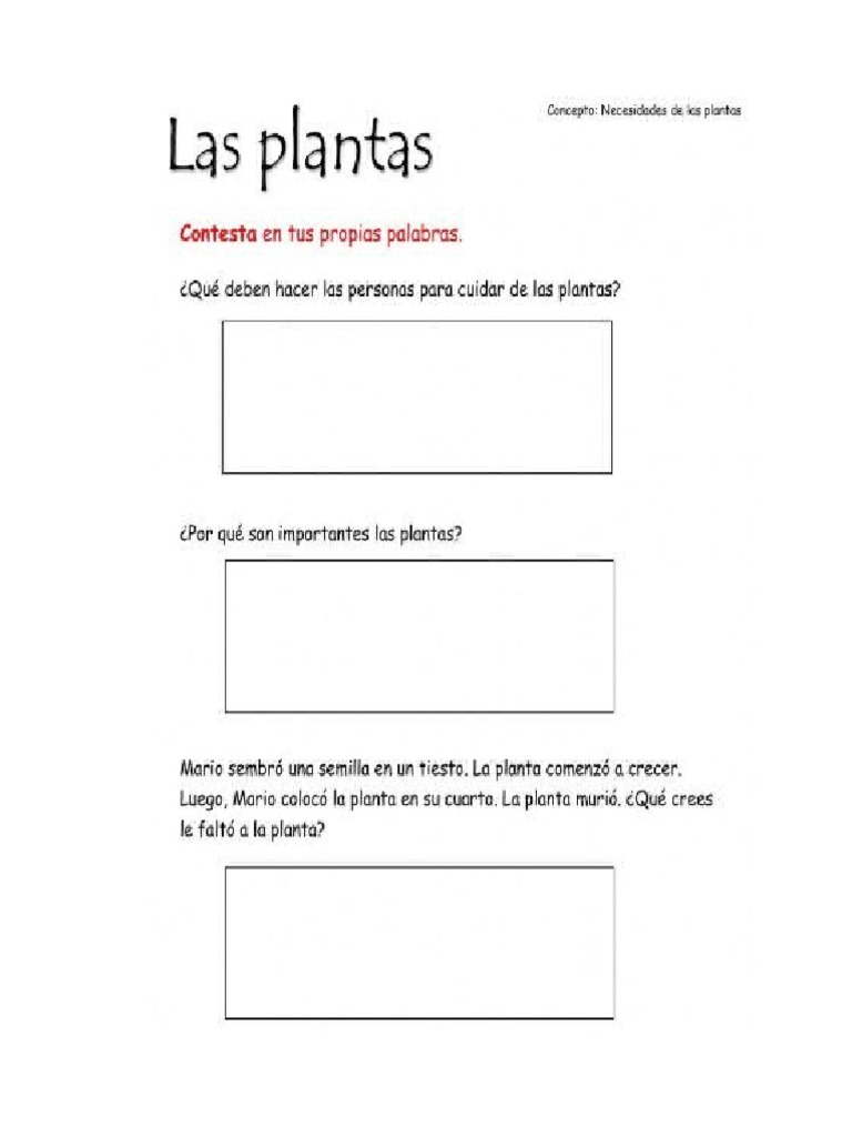 Necesidades de Las Plantas | PDF