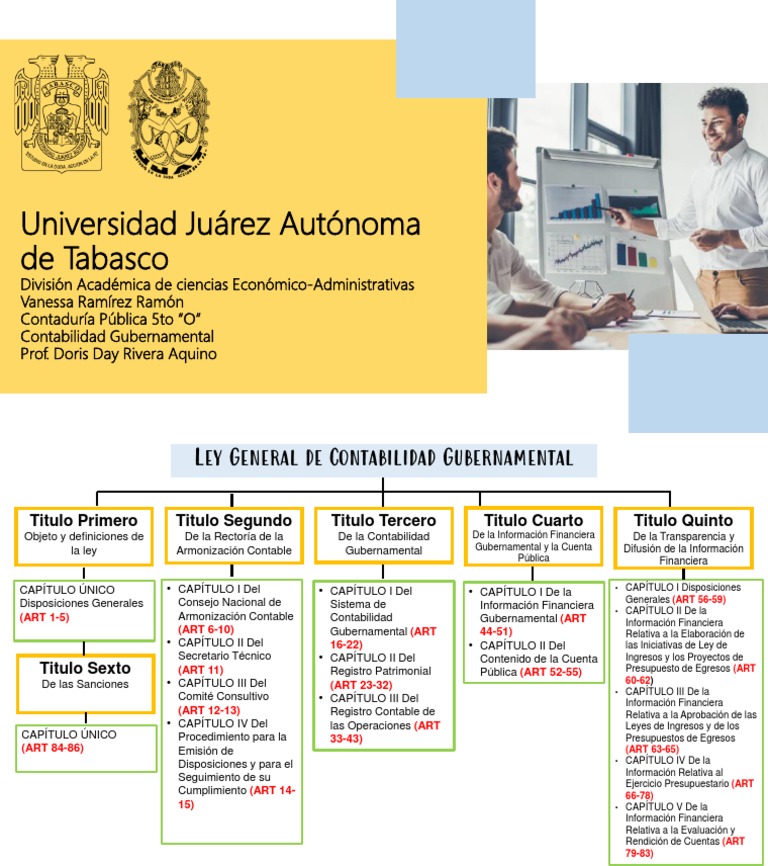 Ramirez Ramon, V. Estructura LGCG | PDF | Contabilidad | Contador