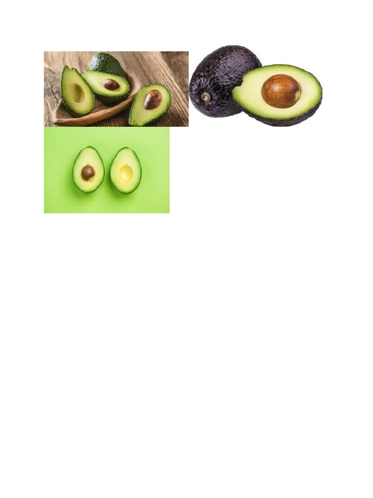 Avocado | PDF