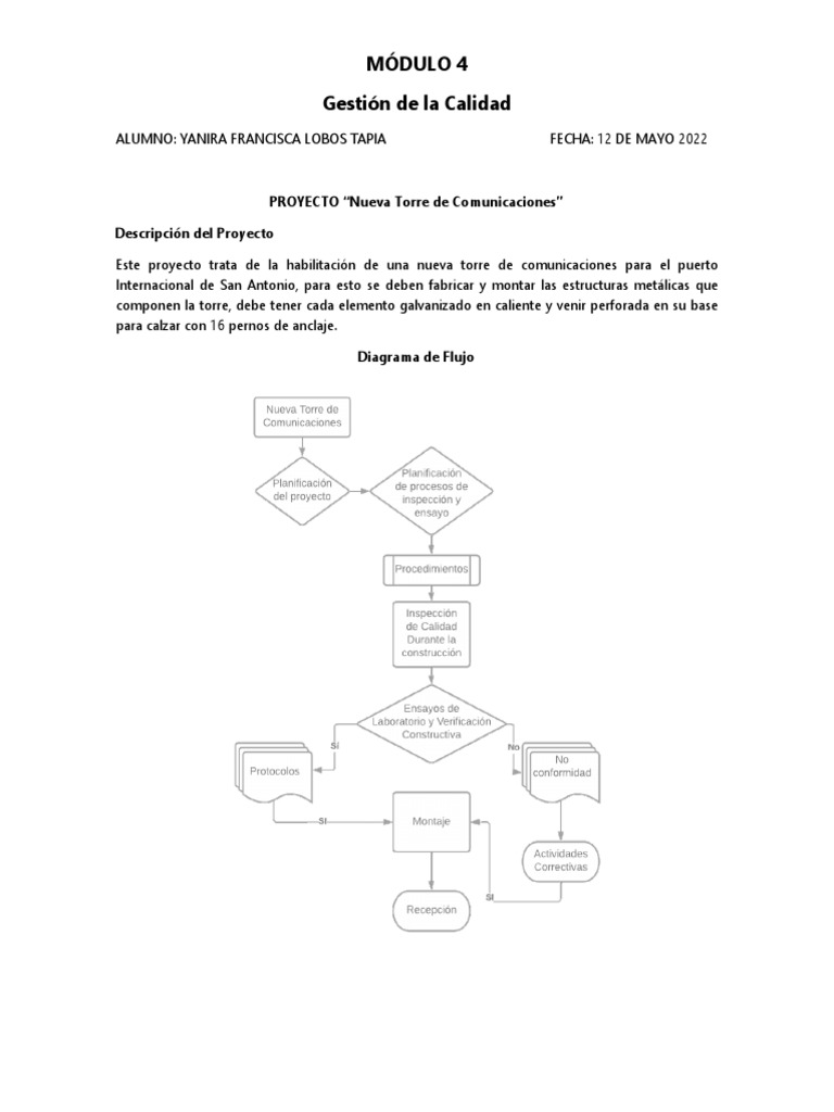 Lobos - Yanira - Tarea Modulo 4 | Descargar gratis PDF | Planificación