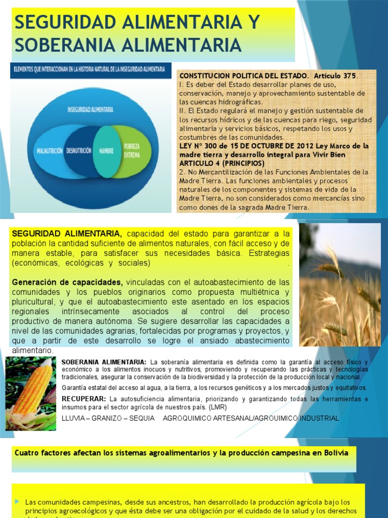 Seguridad y Soberania Alimentaria Final Natalios | PDF | Agricultura | Pesticida