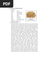 Kelompok 4 IDENTIFIKASI MAKROSKOPIS DAN MIKROSKOPIS RHIZOMA, FLOS, FRUCTUS DAN SEMEN | PDF