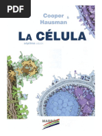 Bioquímica 7 Edición (Denise R. Ferrier) | PDF