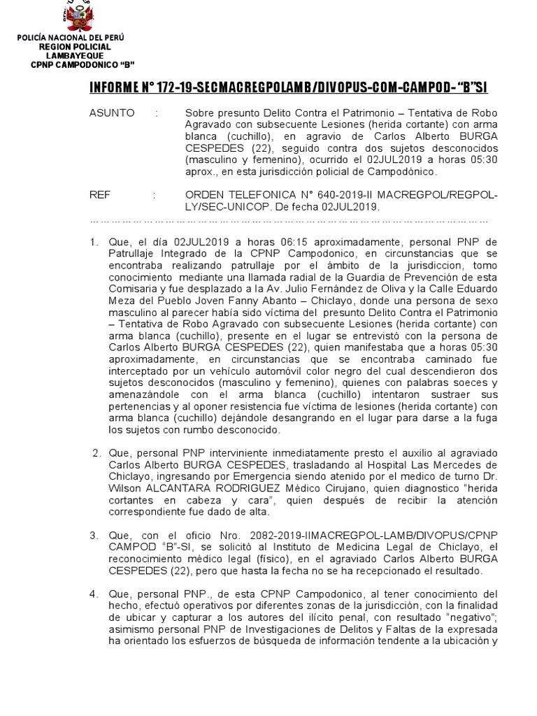 Informe Robo Con Arma Blanca (Cuchillo) | PDF | Crímenes | Crimen y ...