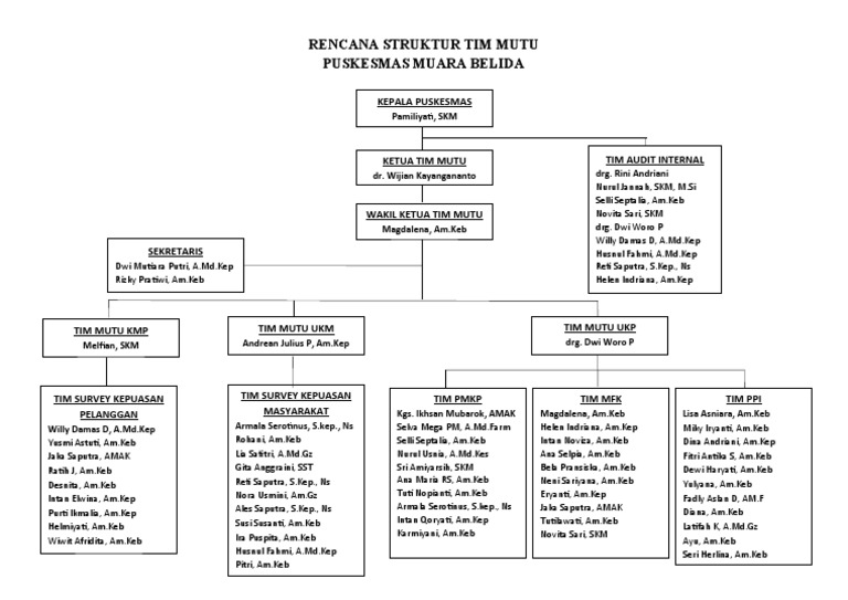 Rencana Struktur Tim Mutu | PDF