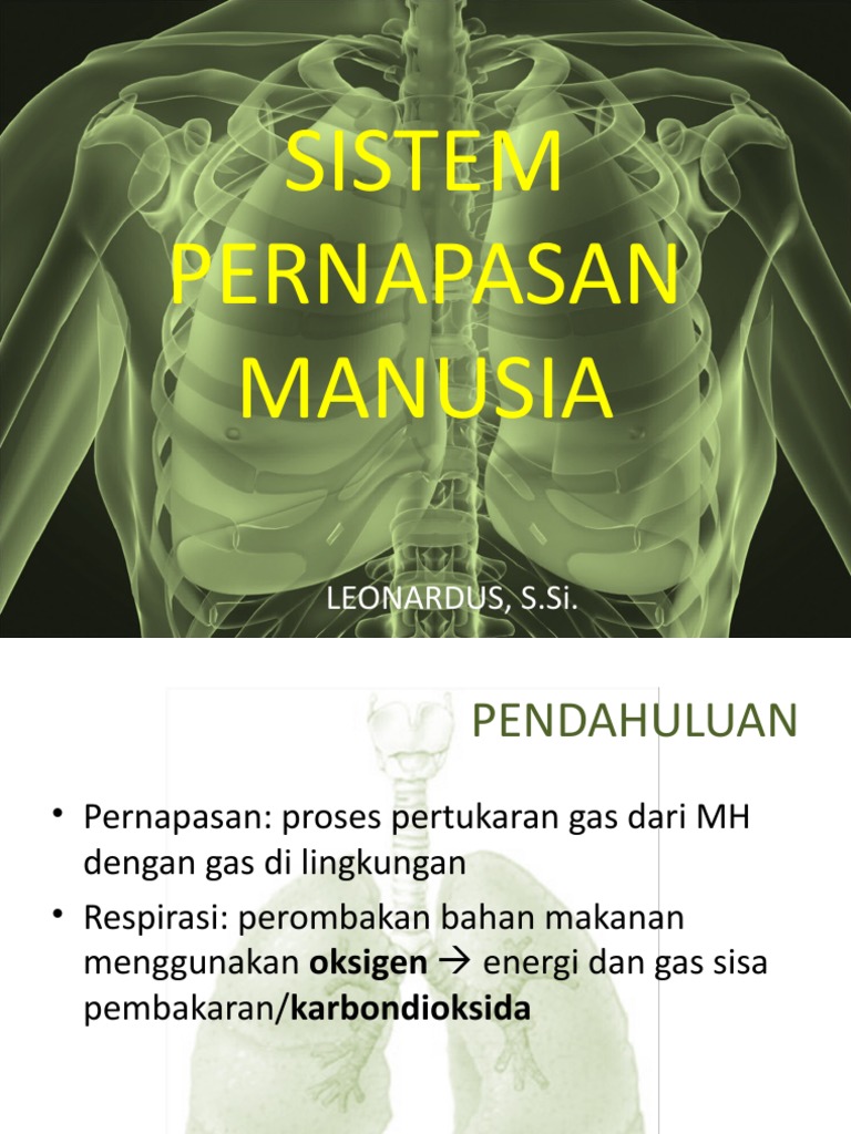 Sistem Pernapasan Manusia | PDF | Sains & Matematika