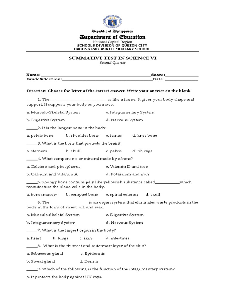 Department of Education: Summative Test in Science Vi | PDF | Lung ...