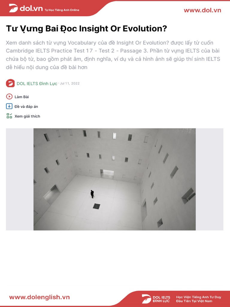 Insight or Evolution | PDF