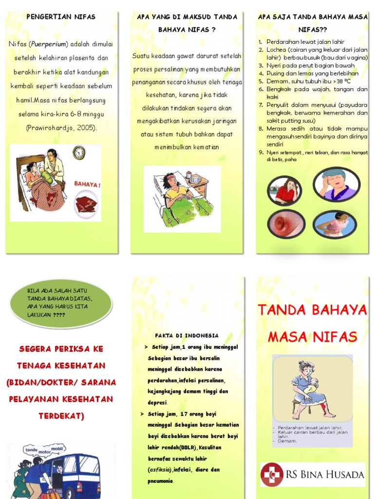 SAP Dan Leaflet Perawatan Nifas | PDF