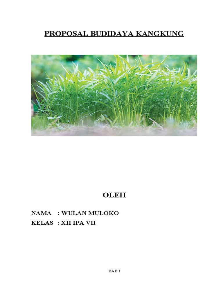 Proposal - Budidaya Kangkung | PDF