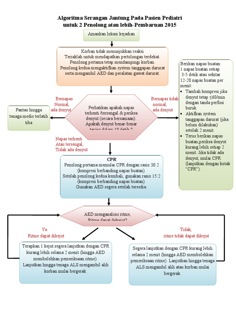 Algoritma Resusitasi Aha 2015 | PDF