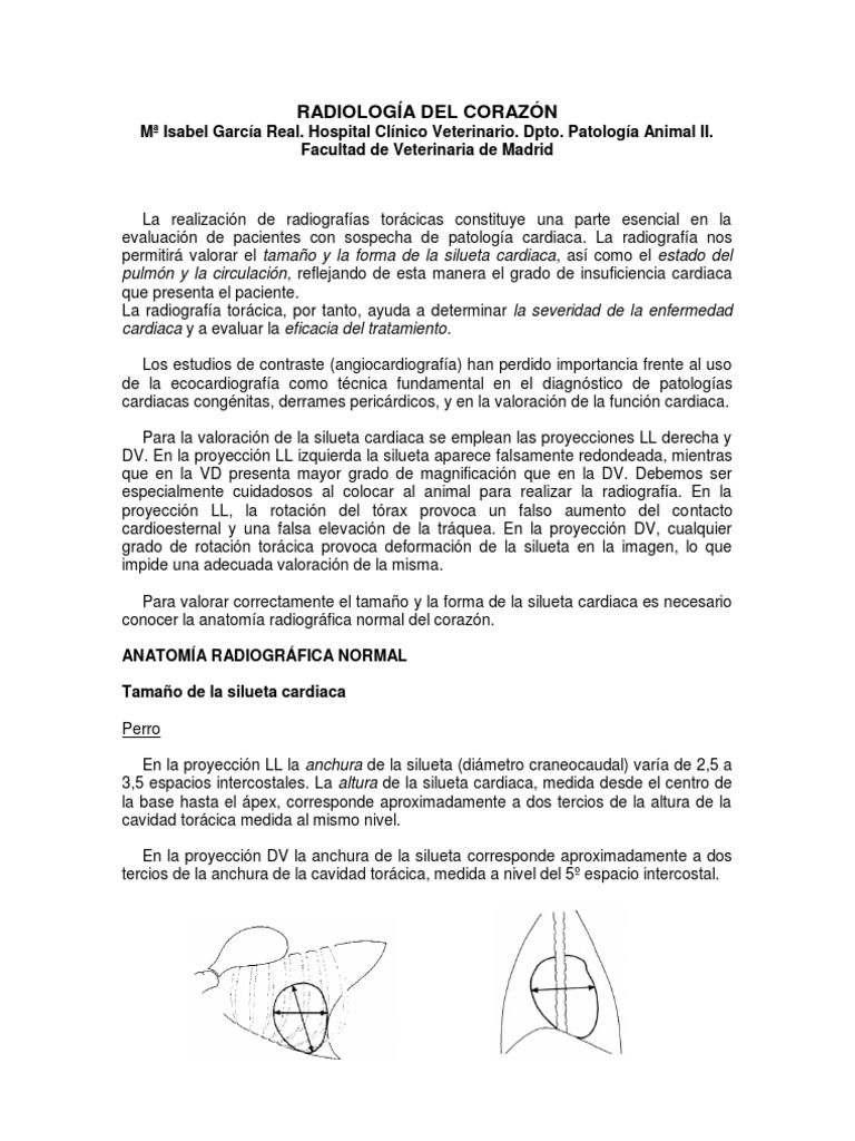 Radiología Del Corazón | PDF | Insuficiencia cardíaca | Corazón