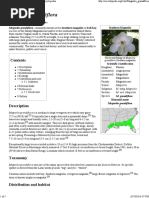 Indian Republic HSD Yard Design Is Code | PDF