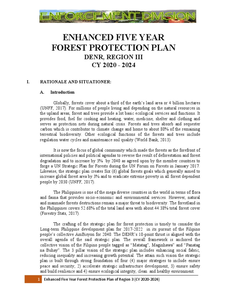 2020 2024 Forest Protection Plan | PDF | Deforestation | Forestry