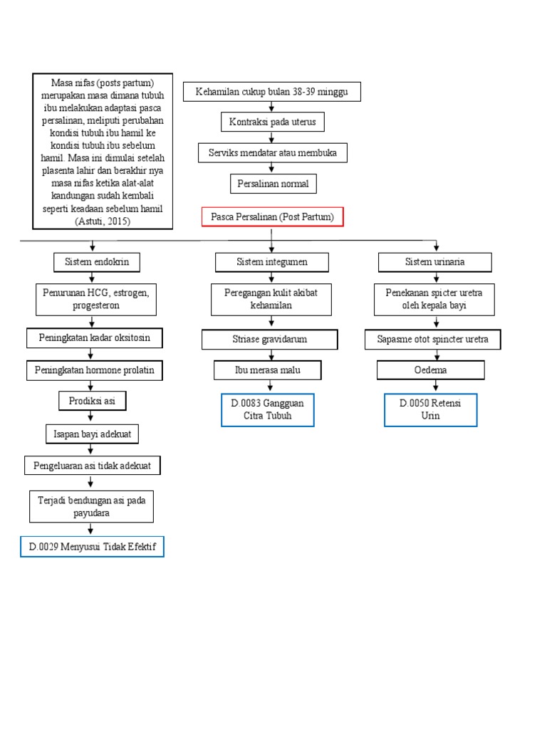 Woc Post Partum | PDF