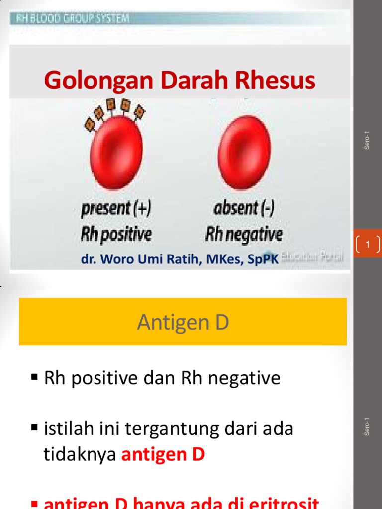 5.goldar Rhesus | PDF