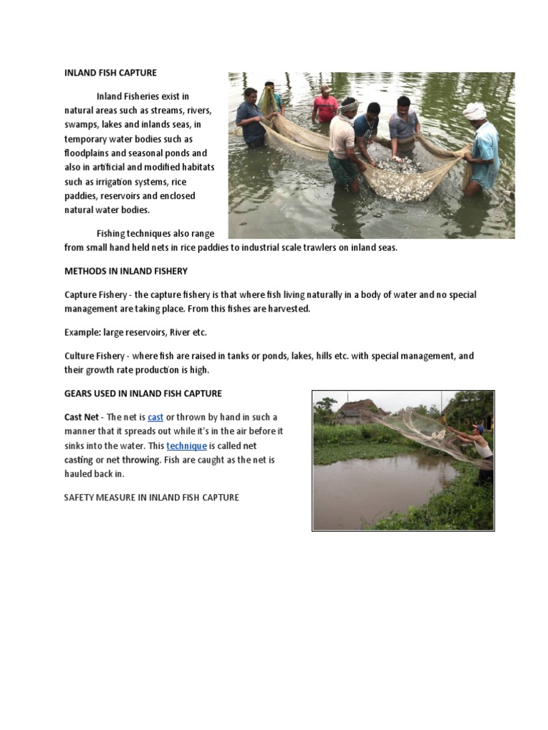 Fish Capture Lesson | PDF | Home & Garden