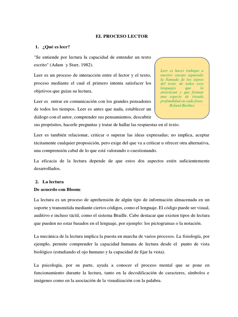 El Proceso Lector Resumido TEMA1 | PDF | Comprensión lectora | Información