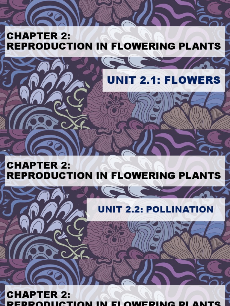 2.0 Chapter 2 Title | PDF