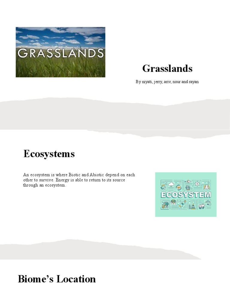 Geography Ppt Grasslands Pdf Grassland Ecosystem