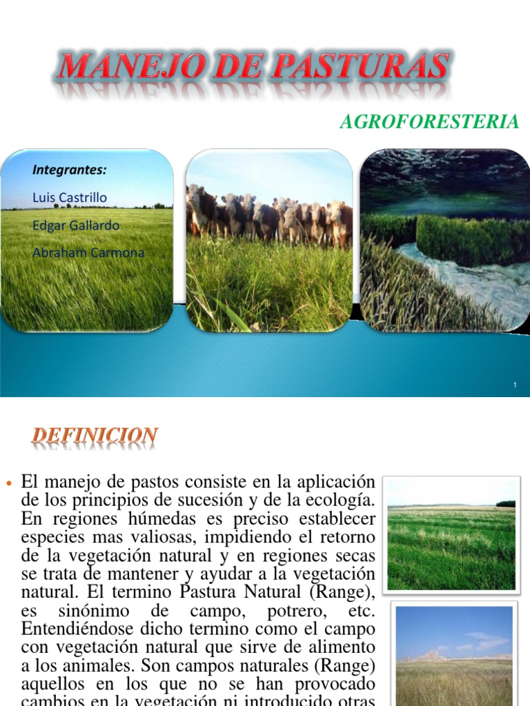 Manejo Eficiente de Pasturas Naturales | PDF | Suelo | Pasto