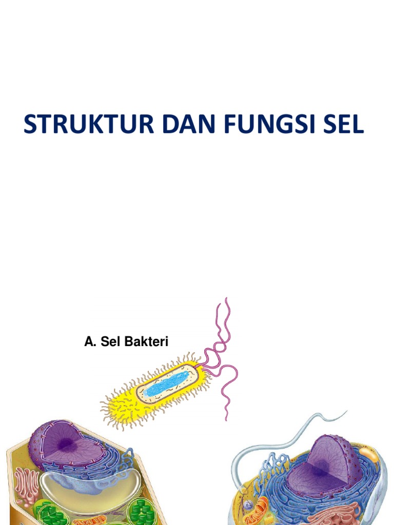Struktur Dan Fungsi Sel | PDF