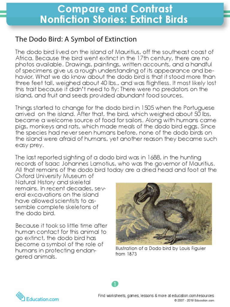The Dodo Bird: A Symbol of Extinction | PDF | Birds | Ornithology