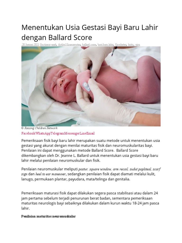 Skor New Ballard | PDF