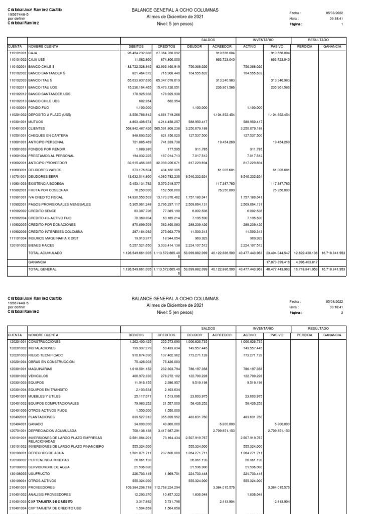 Balance 8 Columnas | PDF | Bancos | Crédito