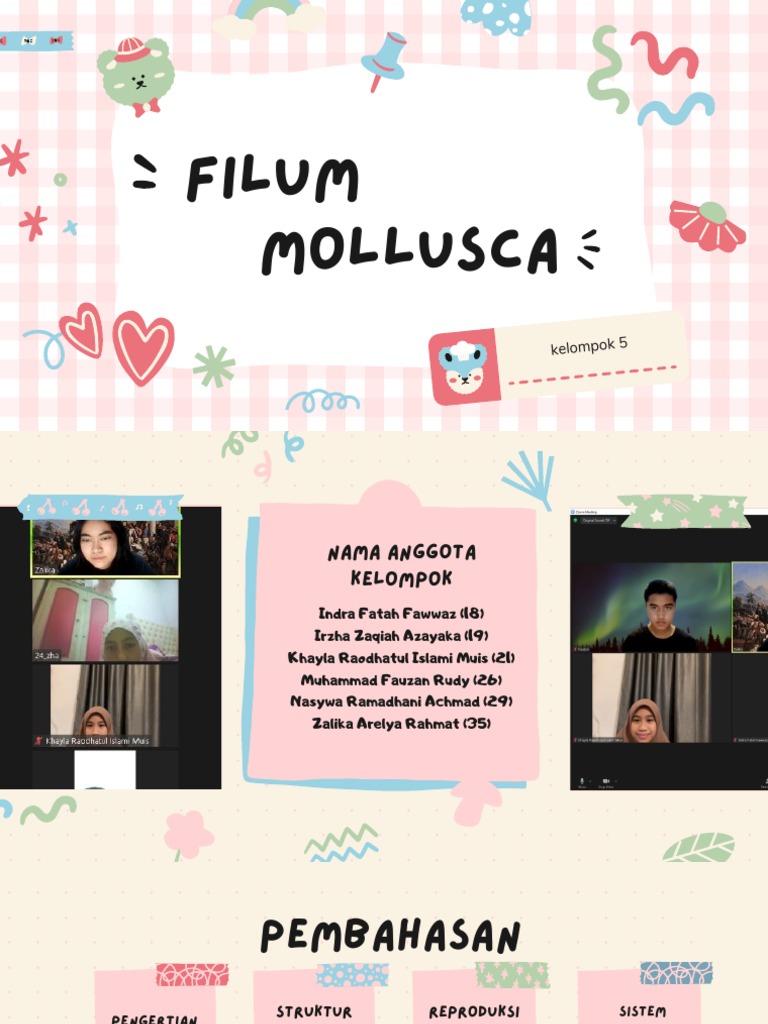 Filum Mollusca | PDF