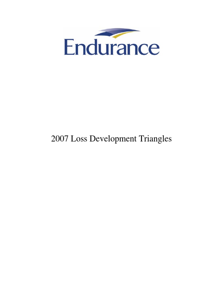 END2007 Loss Development Triangles | PDF | Reinsurance | Insurance
