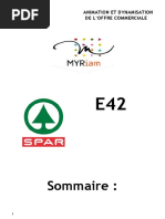 BTS MCO Fiches D'activités E41 Et E42 | PDF | Sodles | Commercialisation