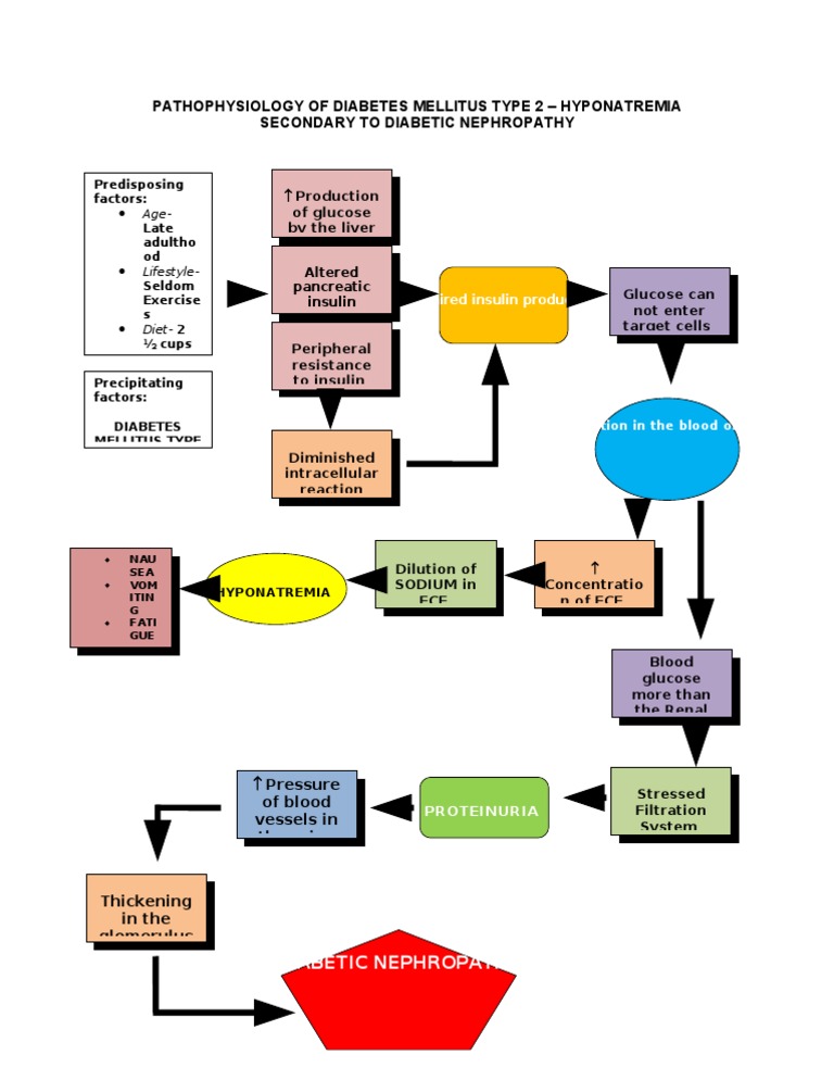 Pathophysiology of Diabetes Mellitus Type 2 | PDF | Diabetes | Insulin