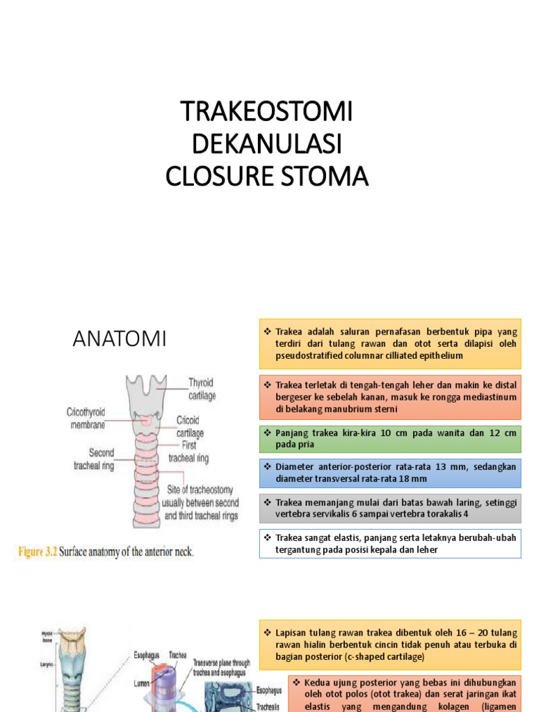 Trakeostomi Dekanulasi Closure Stoma-1 | PDF
