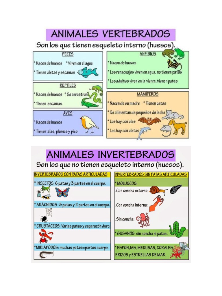 Animales Vertebrados e Invertebrados | PDF