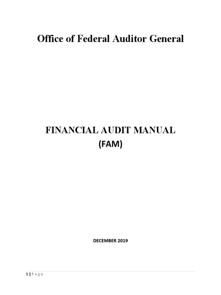 Ofag Fam 2019 Final | PDF | Financial Audit | Audit