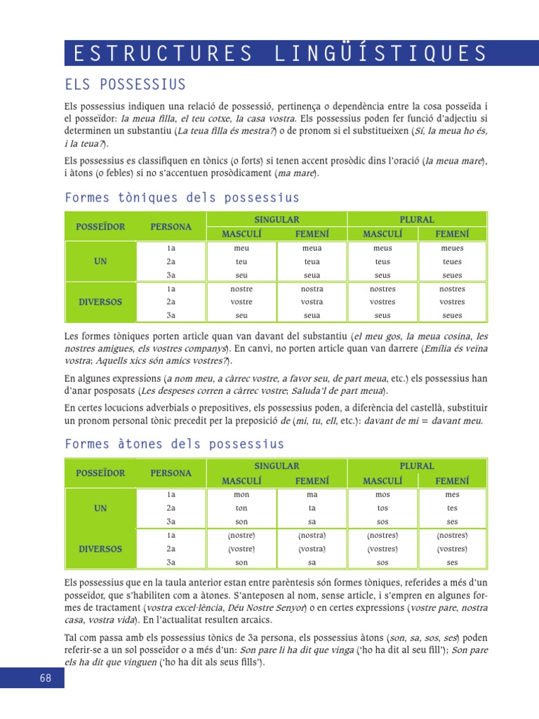 Els Possessius (C1) | PDF