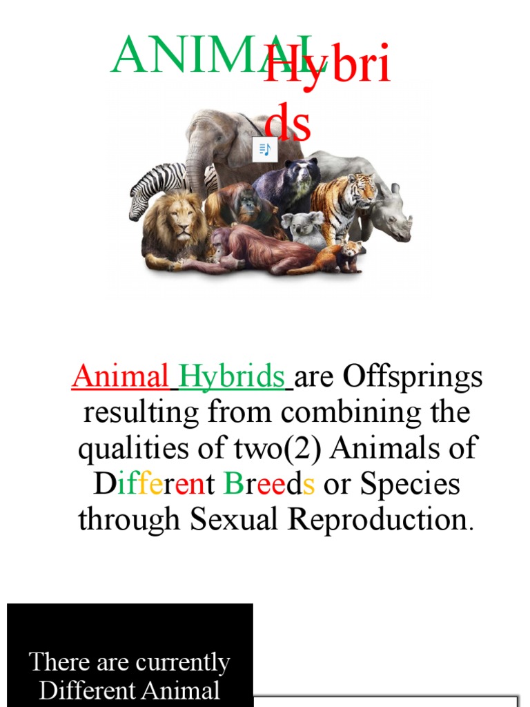 Animal Hybrids | PDF | Science & Mathematics