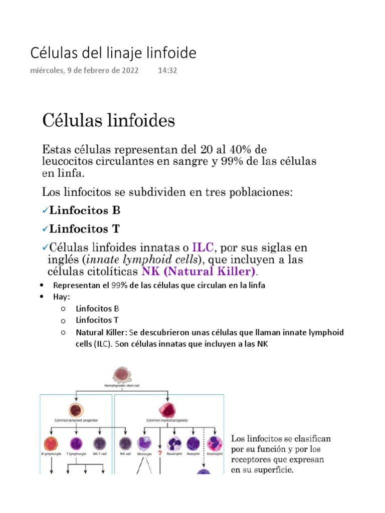Células Del Linaje Linfoide | PDF | Linfocitos | Célula T