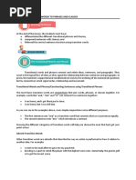 APA Transition Words Quick Guide | PDF | Phrase | Sentence (Linguistics)