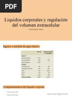 Mapa Conceptual Liquidos y Electrolitoss | PDF | Potasio | Dieta y nutrición
