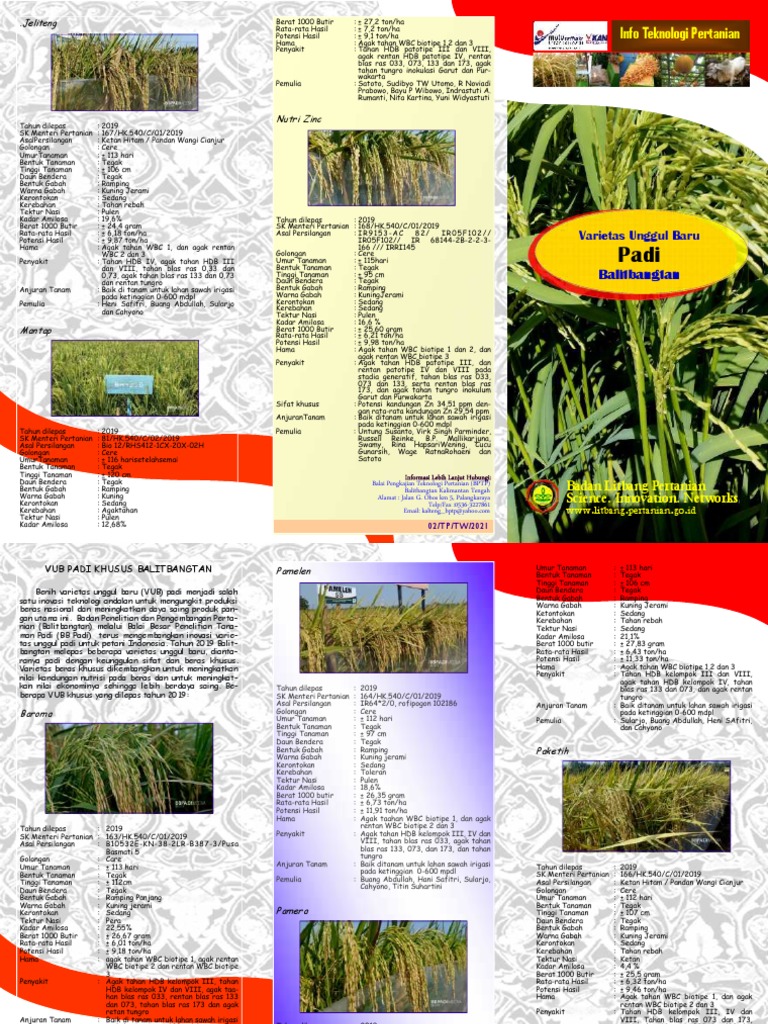 VUB Padi | PDF