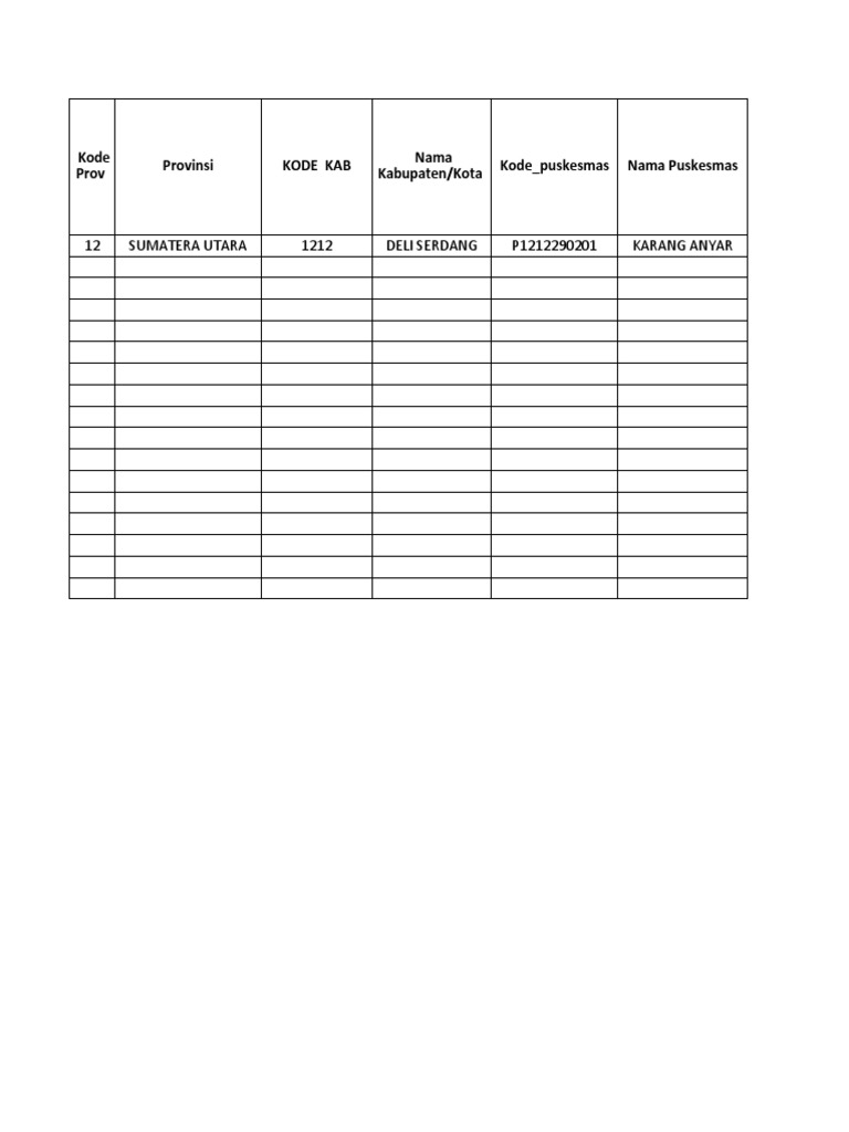 Format Excel Untuk Daerah PKM Karang Anyar Deli Serdang | PDF