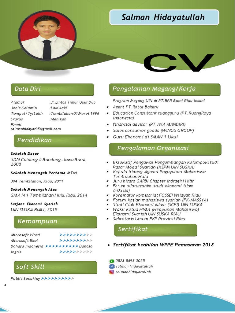 CV Salman Terbaru 2022 | PDF