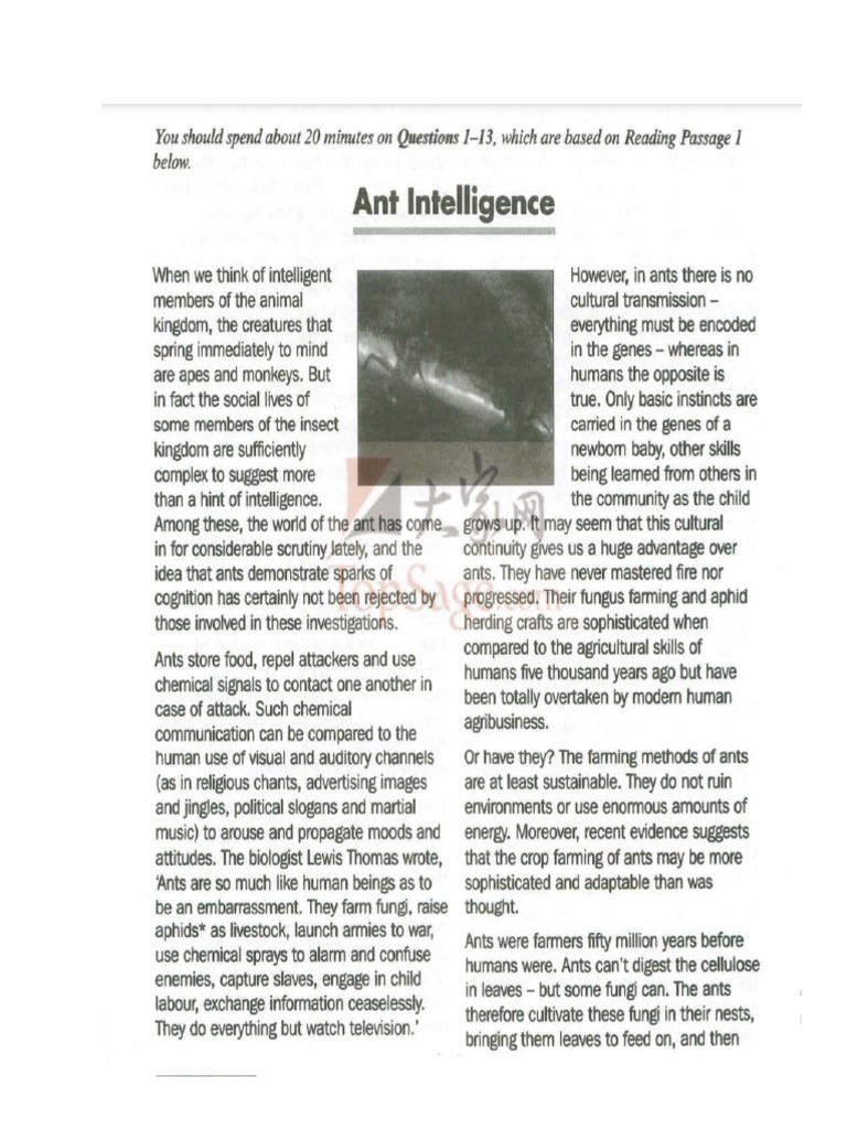 Ant Intelligence | PDF